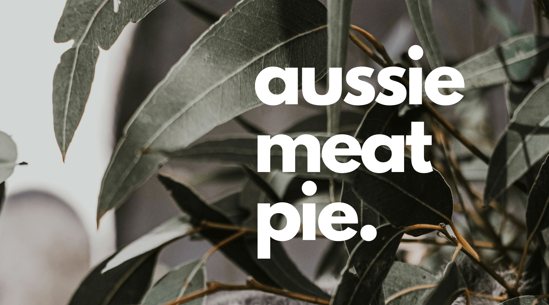 Rich and Chunky Aussie Meat Pie | Leasa Hilton